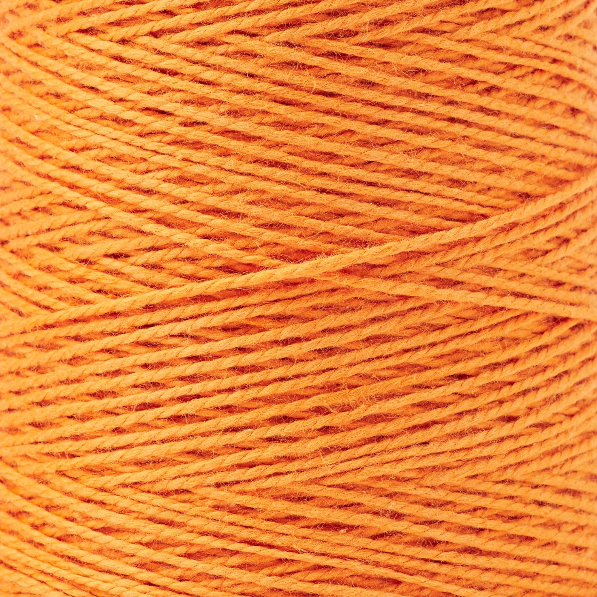 Beam 3/2 Organic Cotton Weaving Yarn - Gist Yarn